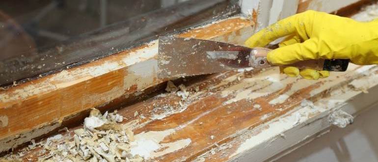 10 Best Paint Scrapers in 2020 - Buyer’s Guide and Reviews